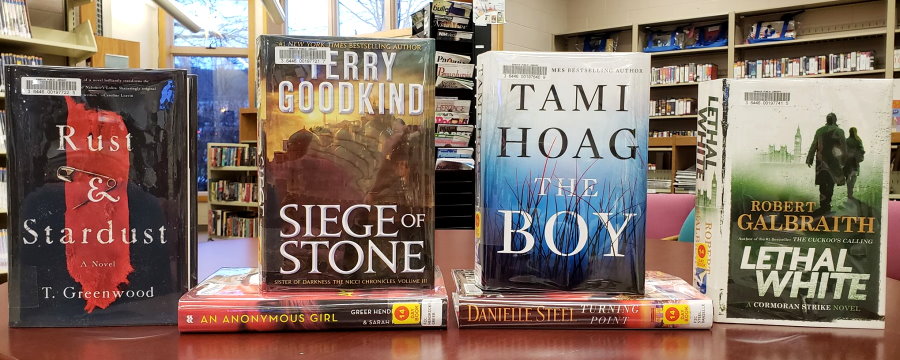 Check out the first new items of 2019! - Emmaus Public Library