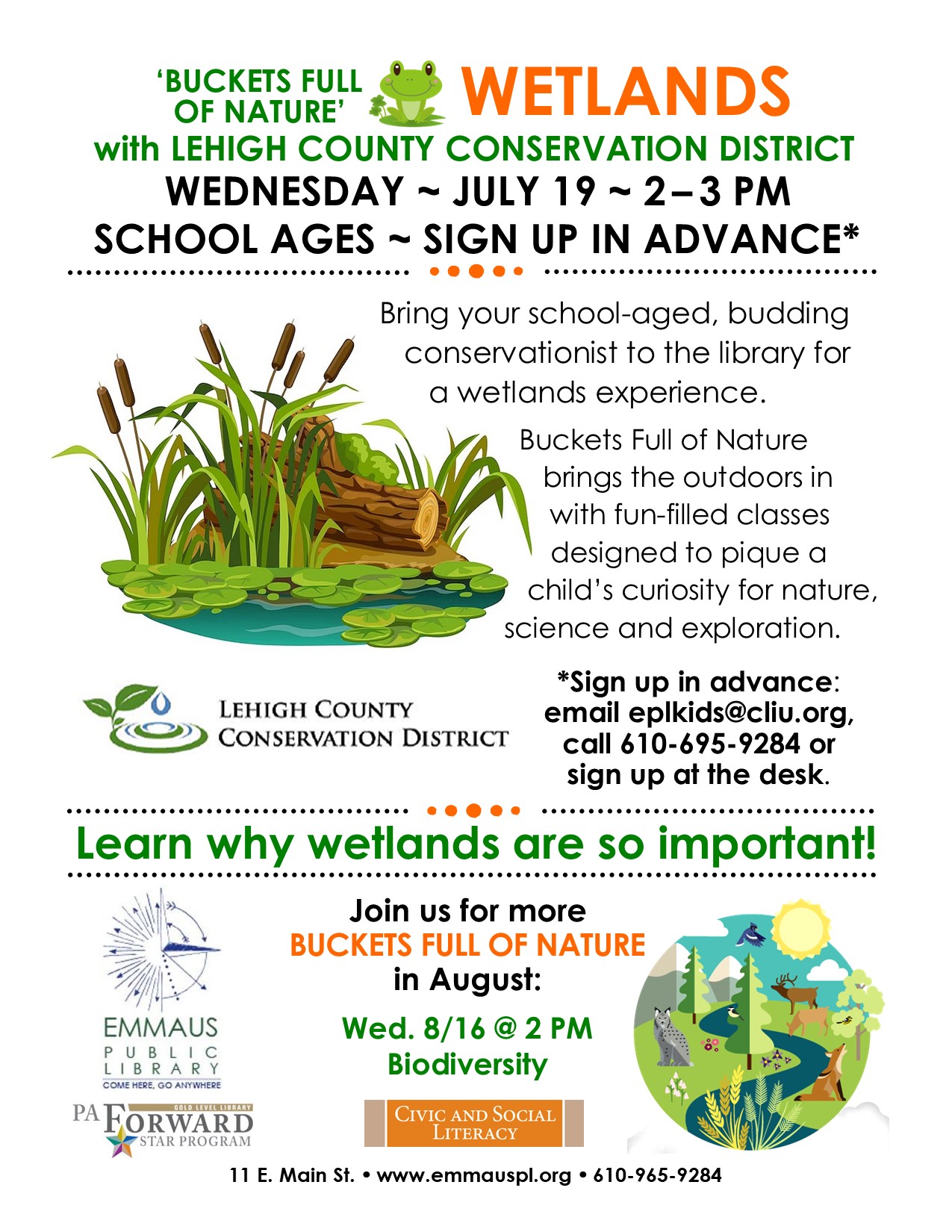 Wetlands Plants For Kids