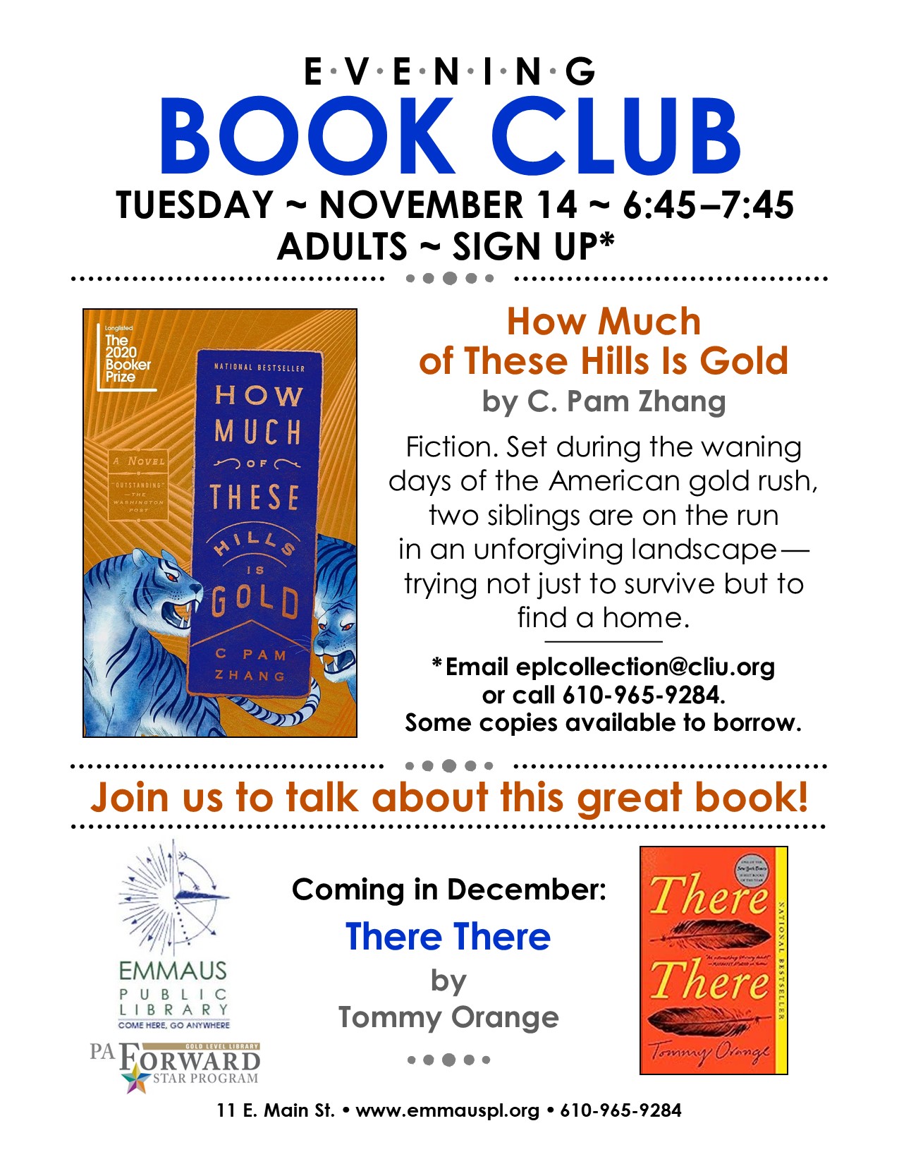 Evening Book Group - How Much of These Hills Is Gold - Emmaus Public ...